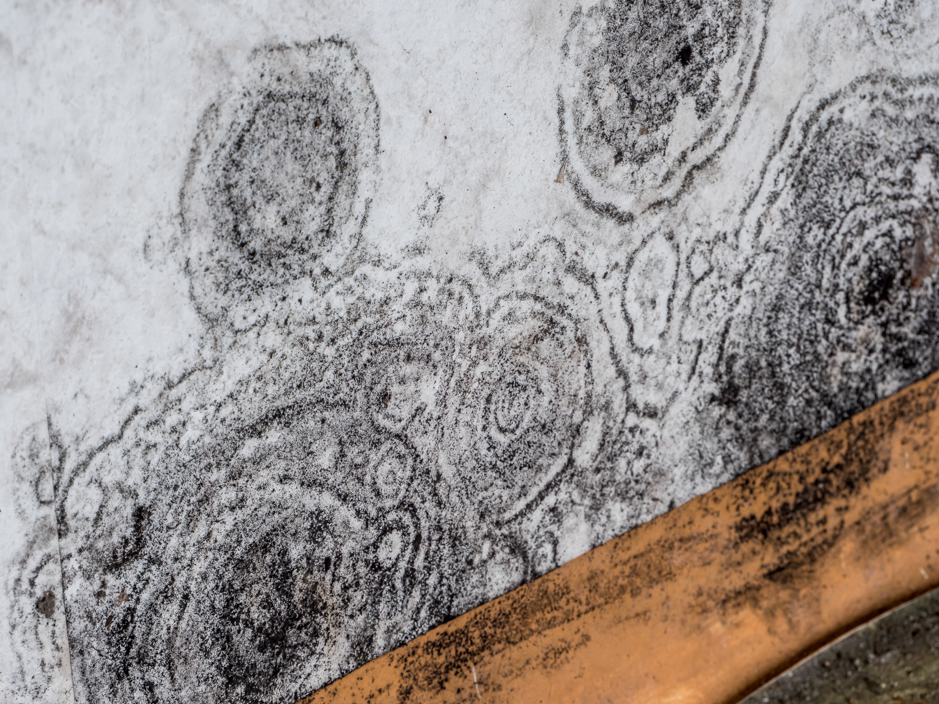 Mold Testing & Mold Remediation Company | Chicago & Bedford Park